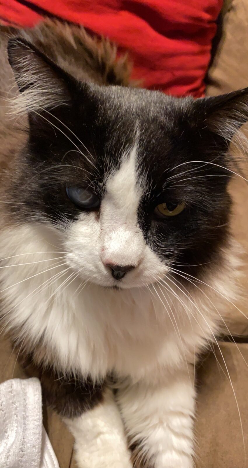 Creative Rewind: The Twilight Zone